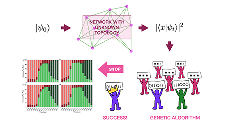 Identifying network topologies via quantum walk distributions | AVS ...