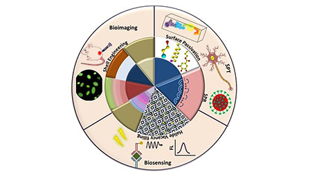 Blinking effect in quantum dots, its suppression mechanism, and ...