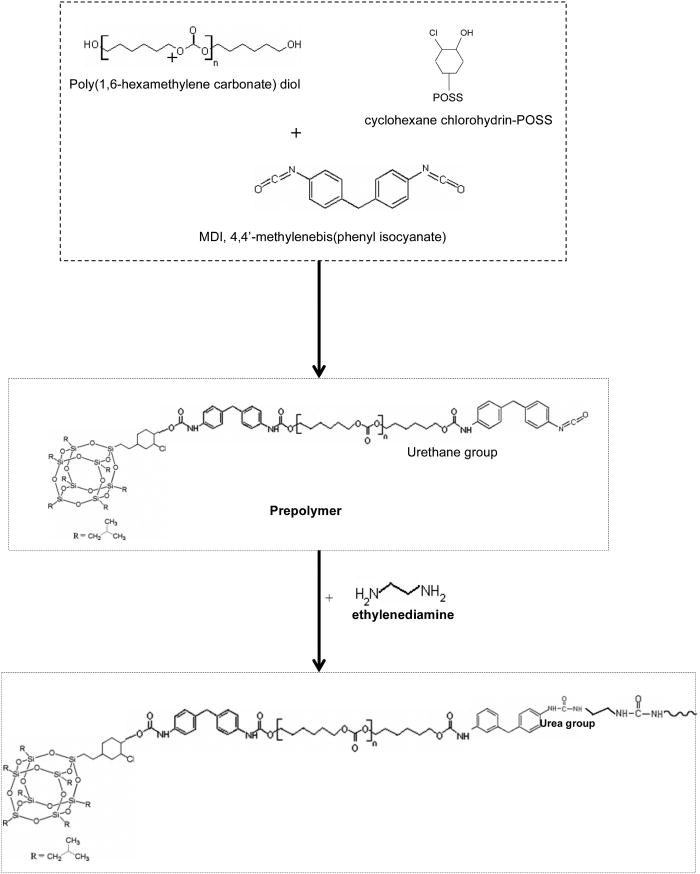 Novel heart valve prosthesis with self-endothelialization potential ...
