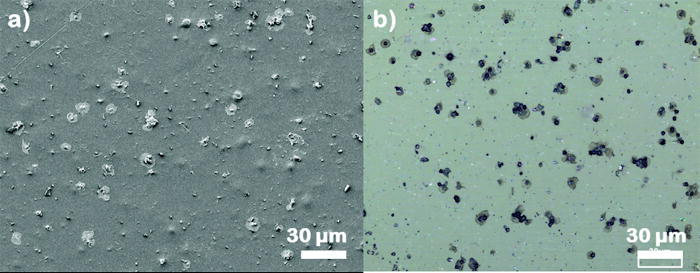 In vitro screening procedure for characterization of thrombogenic ...