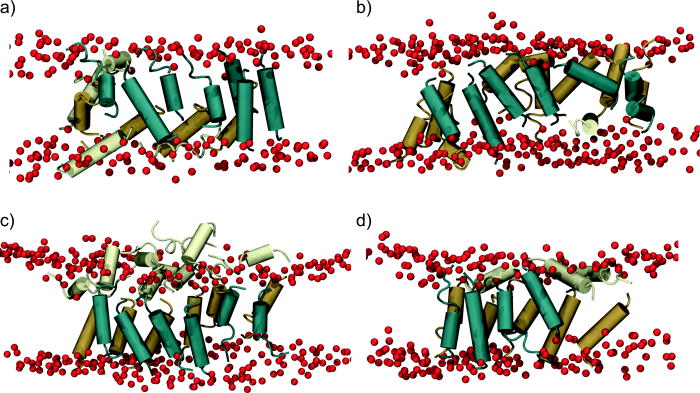 How a short pore forming peptide spans the lipid membrane ...