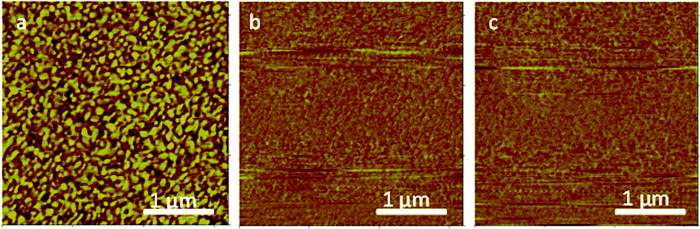 Surface dependent contact activation of factor XII and blood plasma ...