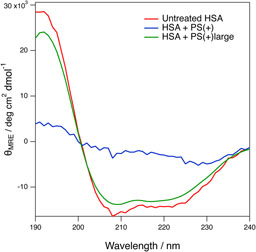 Structure of soft and hard protein corona around polystyrene ...