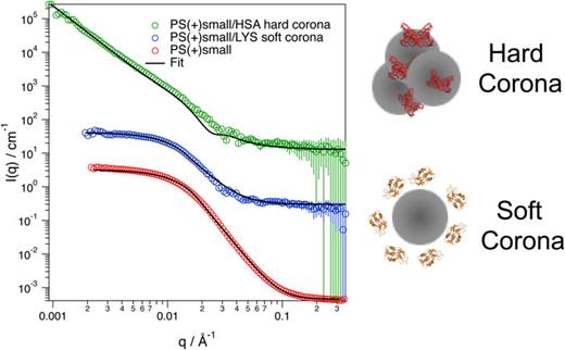 Structure of soft and hard protein corona around polystyrene ...