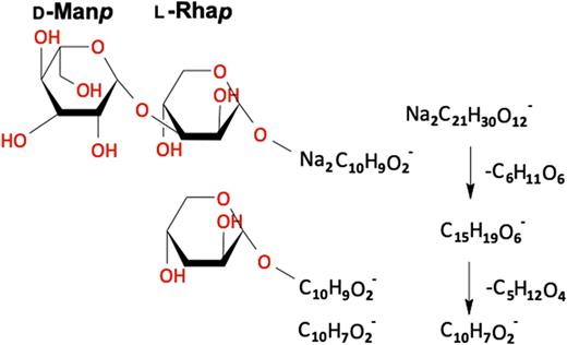 Identification of Pseudomonas aeruginosa exopolysaccharide Psl in ...