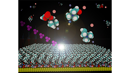 Atomistic simulations for investigation of substrate and salt effects ...