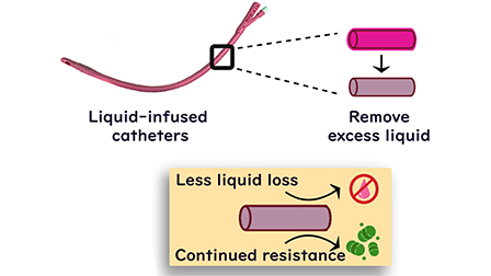 Biointerphases | AIP Publishing