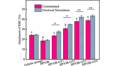 Biointerphases | AIP Publishing