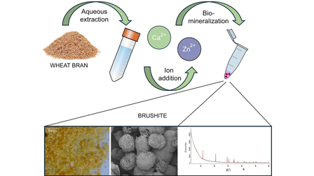 Biointerphases | AIP Publishing
