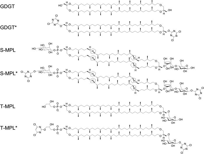 Biomimetic surface modification with bolaamphiphilic archaeal ...