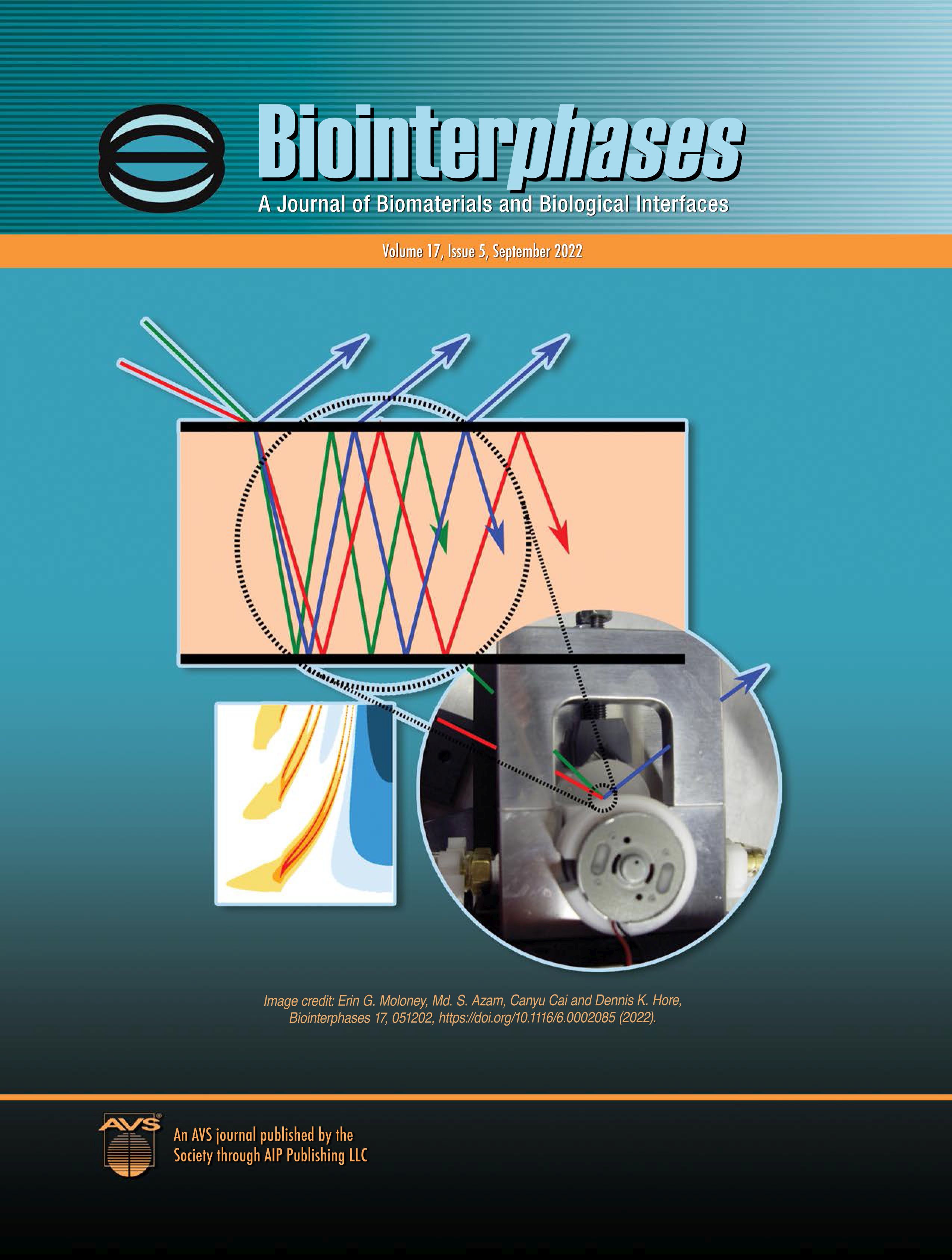 Volume 17 Issue 5 | Biointerphases | AIP Publishing