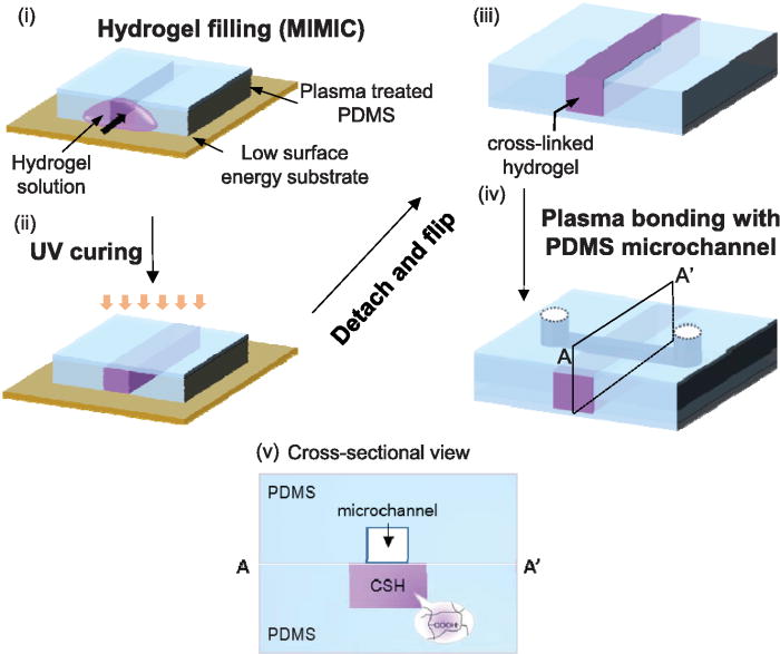 Capillarity ion concentration polarization for spontaneous biomolecular ...