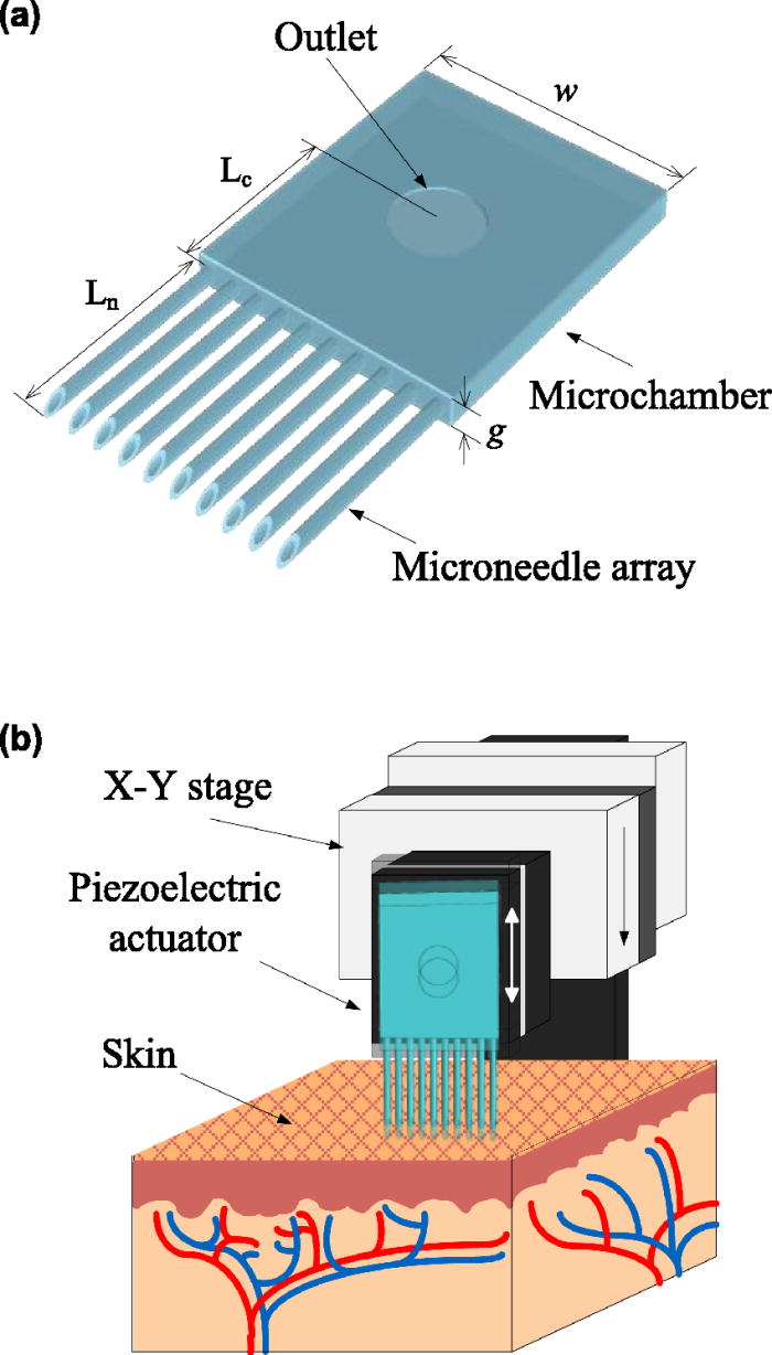 Polymer-based disposable microneedle array with insertion assisted by vibrating motion ...