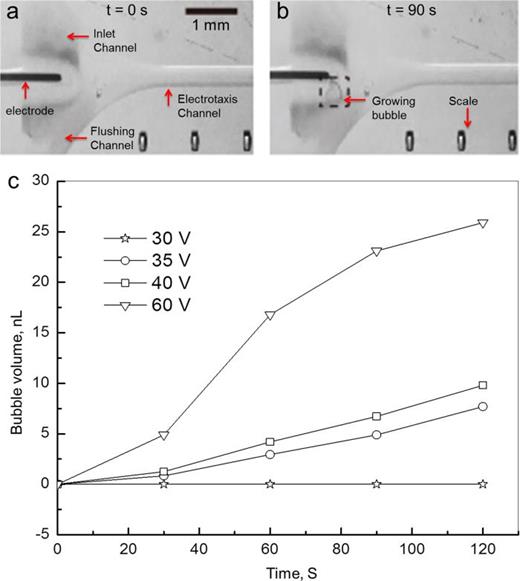 An automated microfluidic system for screening Caenorhabditis elegans behaviors using ...