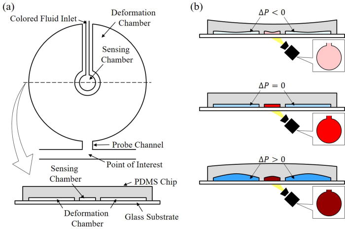 On-chip pressure sensor using single-layer concentric chambers ...