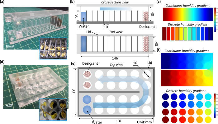 Humidity assay for studying plant-pathogen interactions in miniature ...