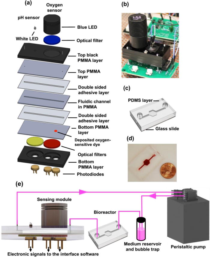 A microfluidic optical platform for real-time monitoring of pH and ...