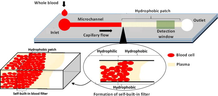 Capillary flow of blood in a microchannel with differential wetting for ...