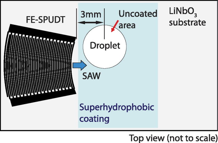 Amplitude Modulation Schemes For Enhancing Acoustically Driven Microcentrifugation And