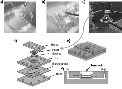 A modular microfluidic bioreactor with improved throughput for ...