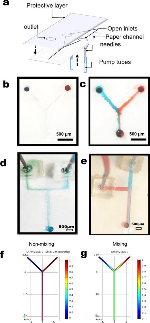 Paper-based microfluidic devices by asymmetric calendaring | Biomicrofluidics | AIP Publishing