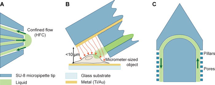 SU-8 free-standing microfluidic probes | Biomicrofluidics | AIP Publishing