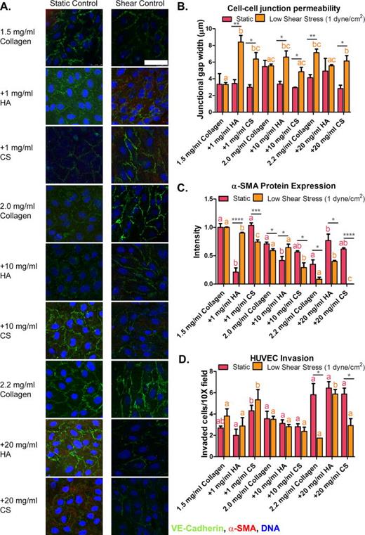 The role of shear stress and altered tissue properties on endothelial ...
