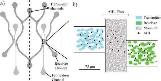 Porous monolith microfluidics for bacterial cell-to-cell communication ...