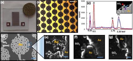 Integrated dielectrophoretic and surface plasmonic platform for million ...