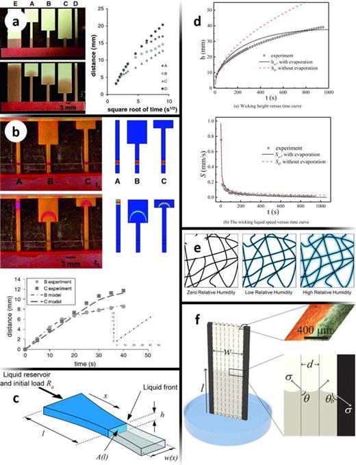 Paper-based assays for urine analysis | Biomicrofluidics | AIP Publishing