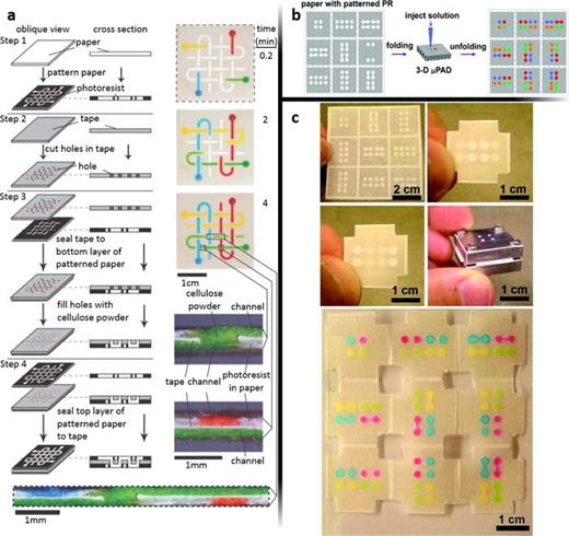 Paper-based assays for urine analysis | Biomicrofluidics | AIP Publishing