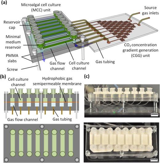 Microfluidic chip for automated screening of carbon dioxide conditions ...