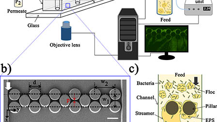 Impact of bacterial streamers on biofouling of microfluidic filtration ...