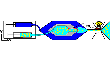 Statistics for real-time deformability cytometry: Clustering ...