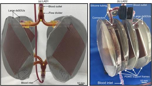 An artificial placenta type microfluidic blood oxygenator with double ...