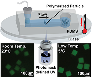 Low temperature flow lithography | Biomicrofluidics | AIP Publishing