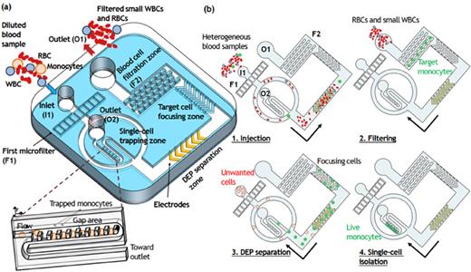 An integrated microfluidic platform for size-selective single-cell ...