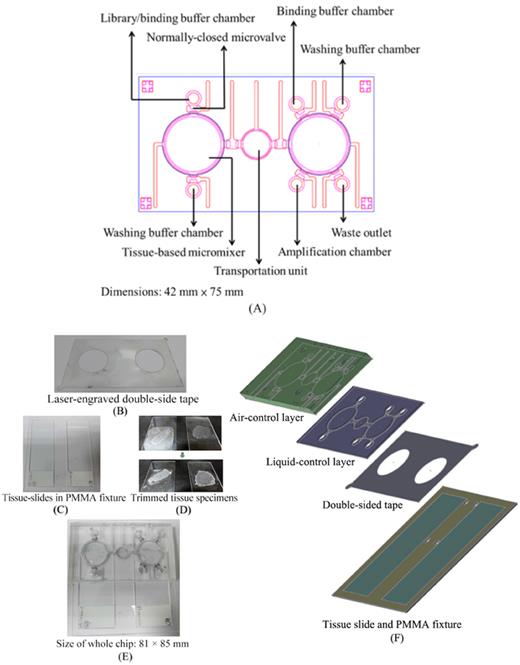 Microfluidic platforms for rapid screening of cancer affinity reagents ...