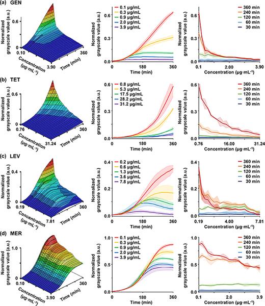 Microfluidic-based observation of local bacterial density under ...