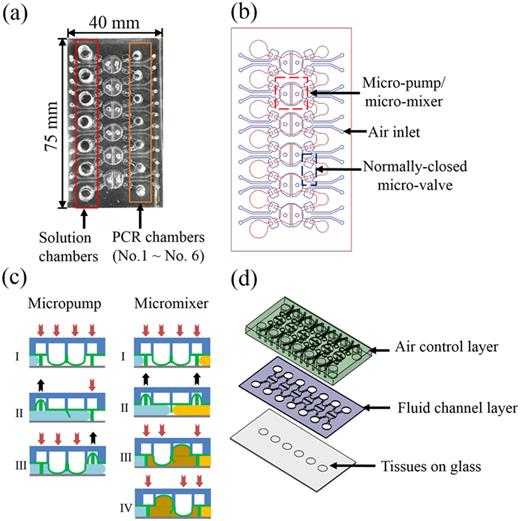 An automated microfluidic system for selection of aptamer probes ...