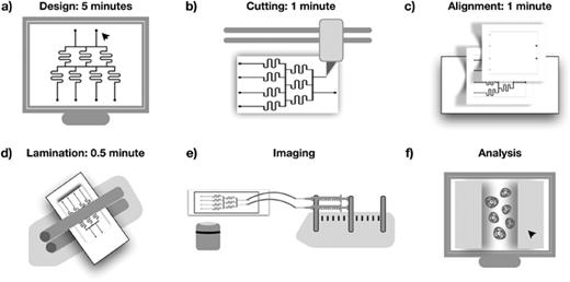 Microfluidics on the fly: Inexpensive rapid fabrication of thermally ...