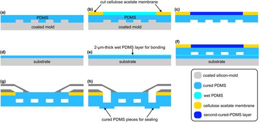 An ultra-thin, all PDMS-based microfluidic lung assist device with high ...