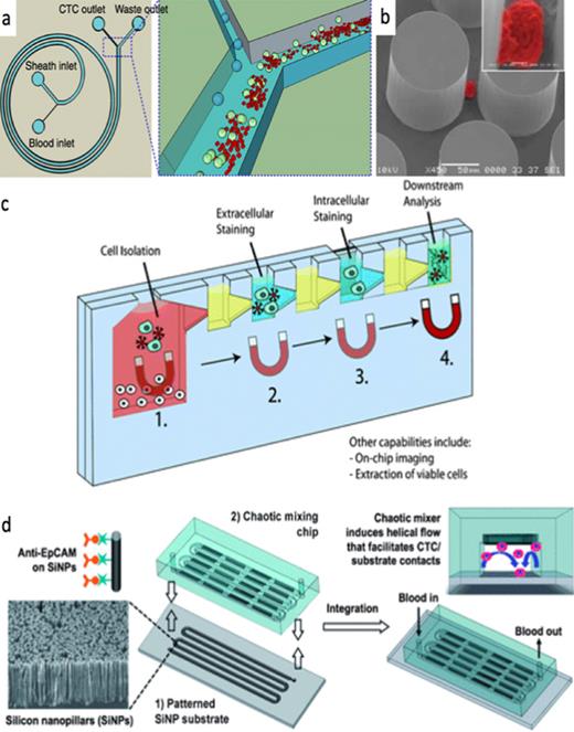 Recent advances in microfluidic methods in cancer liquid biopsy ...