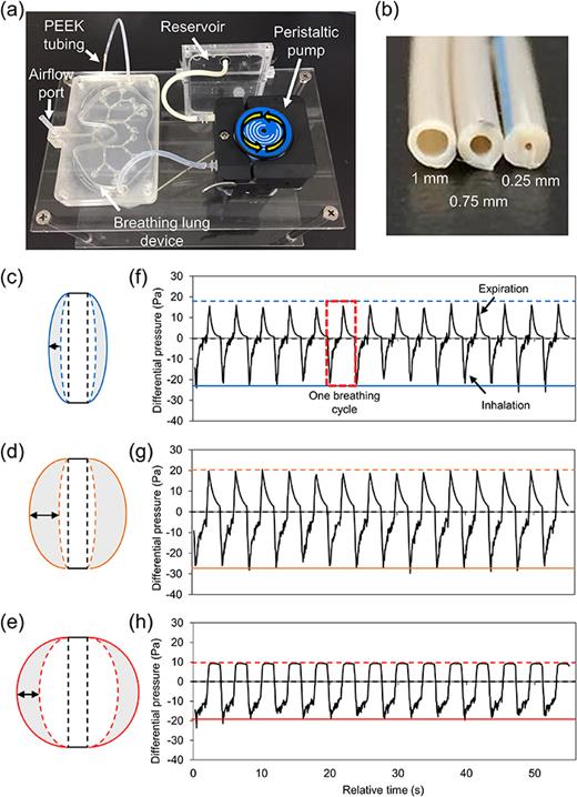 Aerosol delivery into small anatomical airway model through spontaneous ...