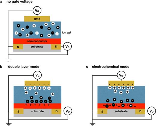 Microfluidic opportunities in printed electrolyte-gated transistor ...