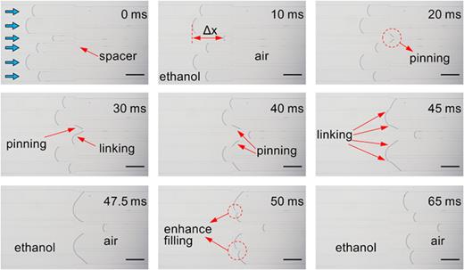 Synchronization and control of capillary flows in rectangular microchannel with spacers ...