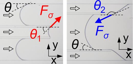 Synchronization and control of capillary flows in rectangular microchannel with spacers ...