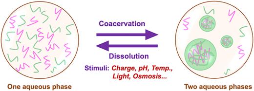 Complex coacervates as artificial membraneless organelles and ...