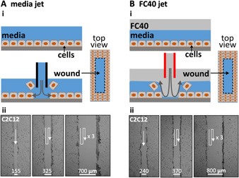 Creating wounds in cell monolayers using micro-jets | Biomicrofluidics ...
