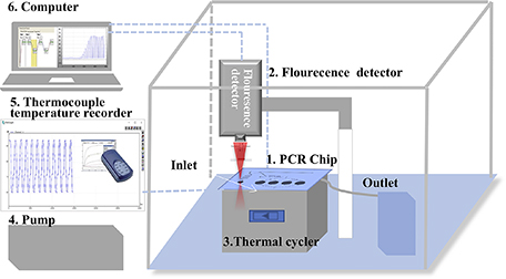 Accomplishment of one-step specific PCR and evaluated SELEX process by ...